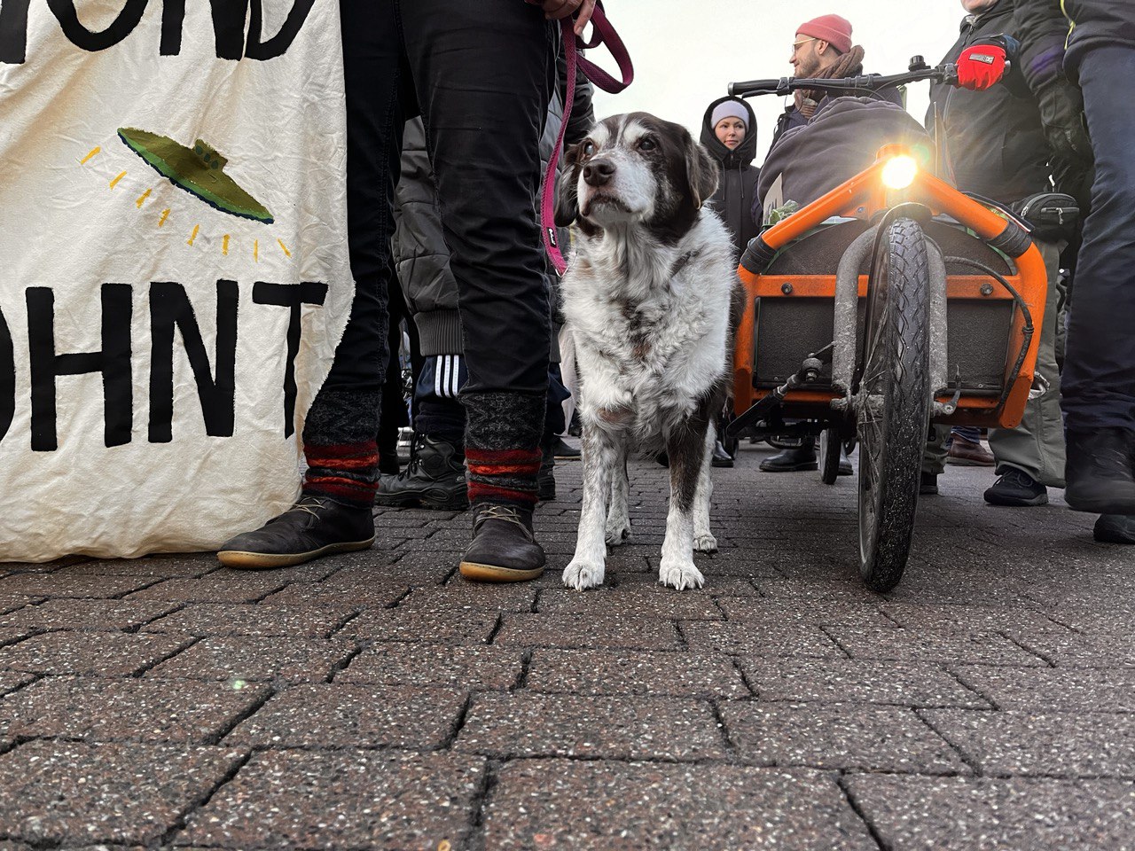 Alle zusammen gegen den Faschismus ⋆ Ræume